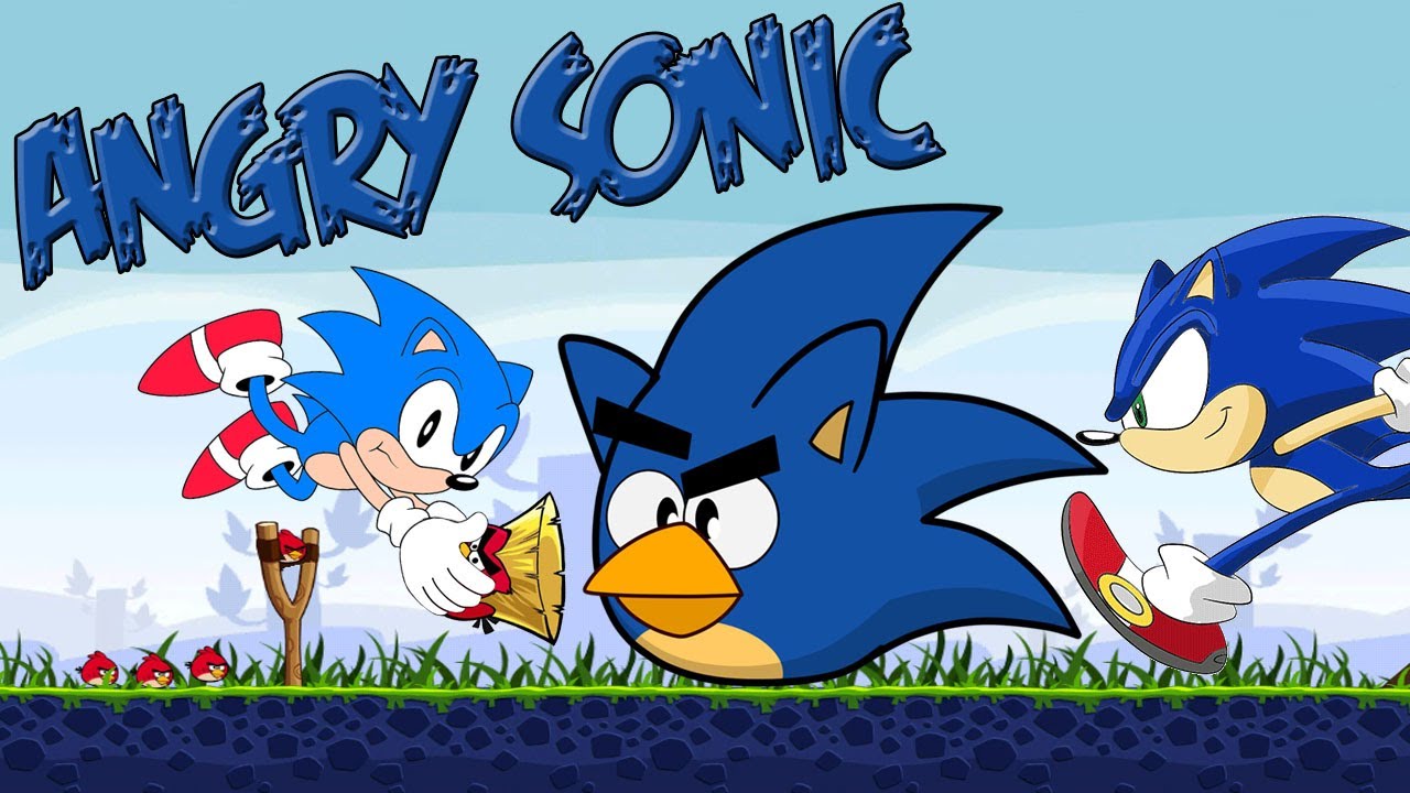 Angry Sonic(Sonic meets the Angry Birds Team) - hobune